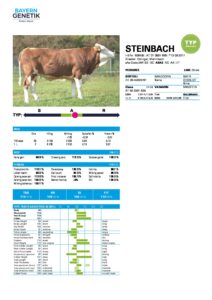 STEINBACH-2 - Better Dairy Cow